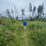 Amethyst Cove Trail, Nova Scotia, Canada - 353 Reviews, Map | AllTrails