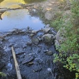 Webster's Dam/Manmade Falls, Idaho - 273 Reviews, Map | AllTrails