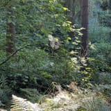 Camp Long Trails, Washington - 166 Reviews, Map | AllTrails