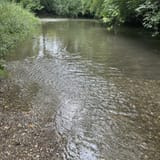 Paul Ruster Trail, Indiana - 235 Reviews, Map | AllTrails