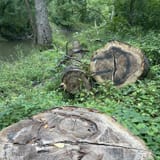 Paul Ruster Trail, Indiana - 235 Reviews, Map | AllTrails