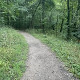 Paul Ruster Trail, Indiana - 235 Reviews, Map | AllTrails