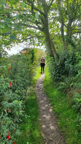 Best Hikes and Trails in Clogheen Marsh Nature Reserve | AllTrails