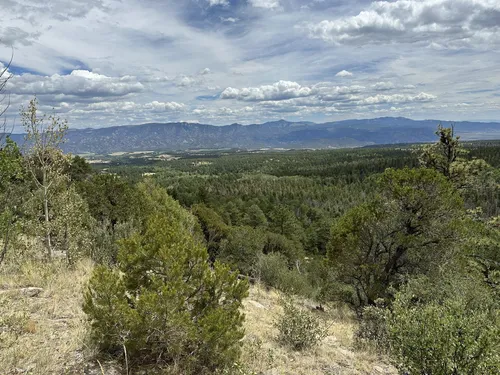 10 Best Hikes and Trails in San Isabel National Forest | AllTrails
