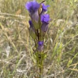 Blueberry Rock, Manitoba, Canada - 245 Reviews, Map | AllTrails