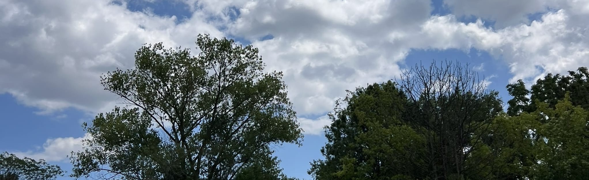 Oak Leaf Trail via Watertown Plank Park and Ride, Wisconsin - 51 ...