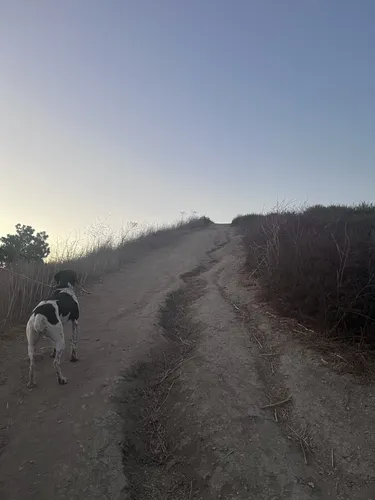 Best Hikes and Trails in Summitridge Park | AllTrails