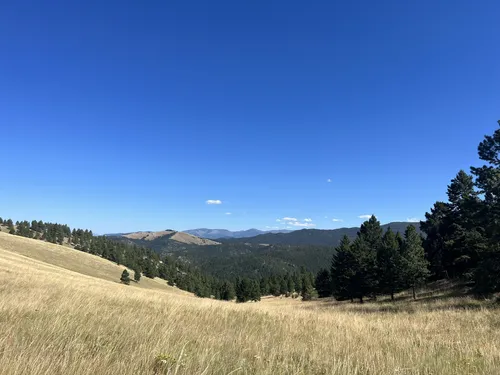 10 Best Hikes and Trails in Mount Helena City Park | AllTrails