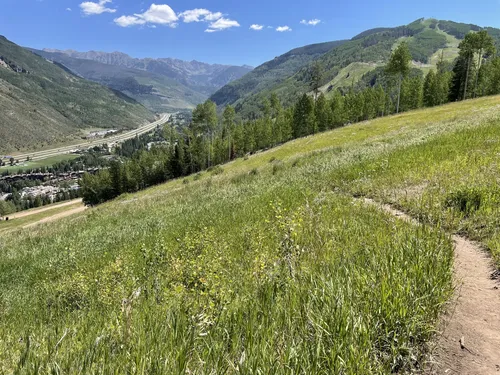 10 Best Trails and Hikes in Vail | AllTrails