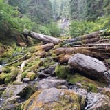 Bisaro Cave via Heiko's Trail, British Columbia, Canada - 69 Reviews ...