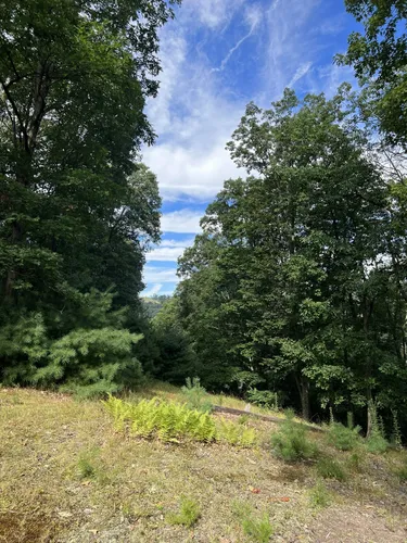 Best Hikes and Trails in Lost River State Park | AllTrails