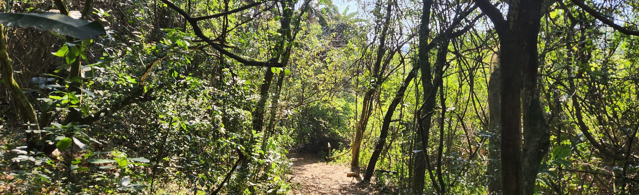 Virginia Bush Loop, Kwazulu-Natal, South Africa - 5 Reviews, Map ...