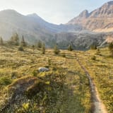 Skoki Loop Backpacking Trail, Alberta, Canada - 330 Reviews, Map ...