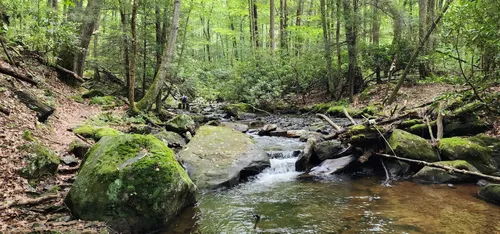 Best Hikes and Trails in Holly River State Park | AllTrails