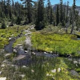 Gray Butte Trail, California - 203 Reviews, Map | AllTrails