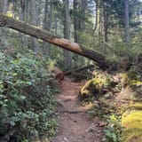 Sugarloaf Mountain and Mount Erie Loop Trail, Washington - 1,670 ...