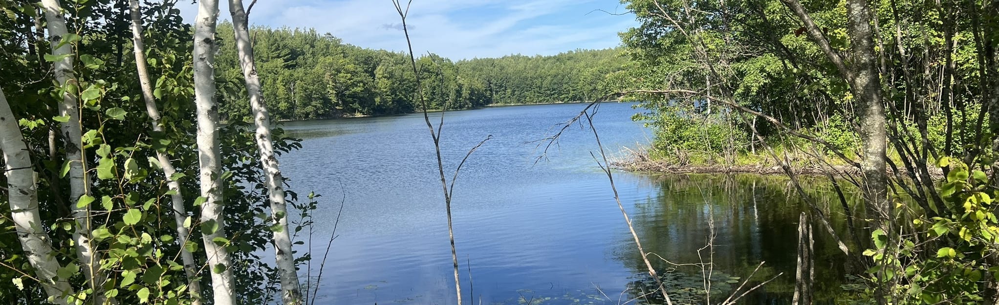 Hansen Lake Trail: 148 Reviews, Map - Wisconsin | AllTrails