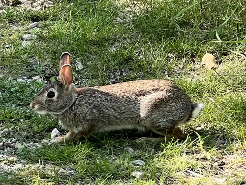 Best Hikes and Trails in Owen Conservation Park | AllTrails