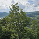 Shavertown Trail, New York - 280 Reviews, Map | AllTrails