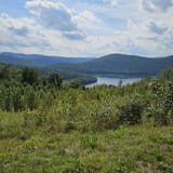 Shavertown Trail, New York - 280 Reviews, Map | AllTrails