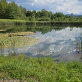 Shavertown Trail, New York - 280 Reviews, Map | AllTrails