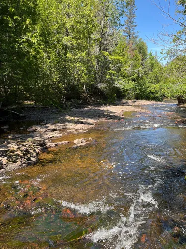 Best Hikes and Trails in Allouez | AllTrails