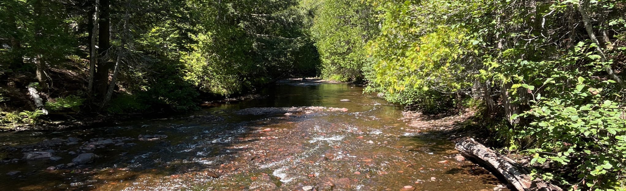 Conglomerate Falls , Michigan - 51 Reviews, Map | AllTrails