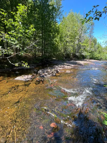 Best Hikes and Trails in Allouez | AllTrails