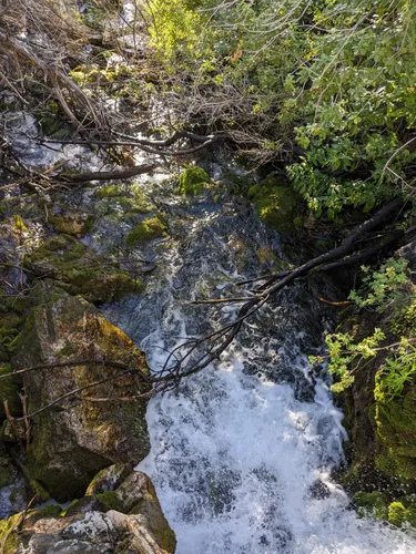 Best Hikes and Trails in Ruby Lake National Wildlife Refuge | AllTrails