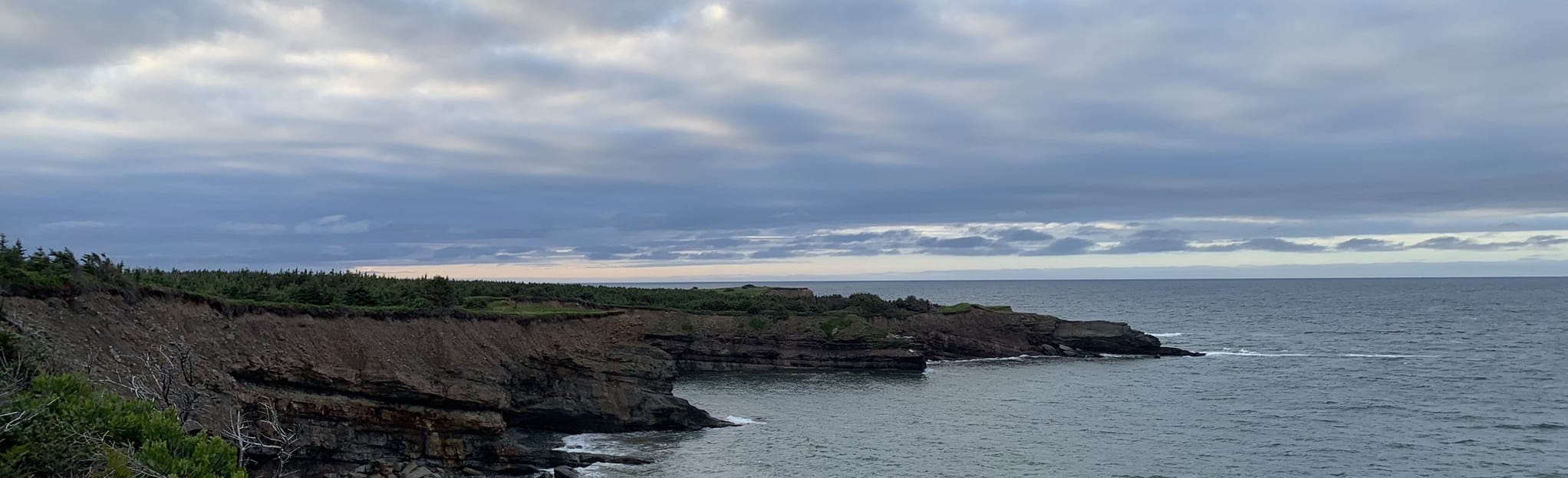 Cape Perce, Nova Scotia, Canada - 95 Reviews, Map | AllTrails