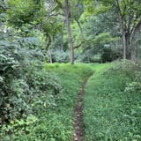 Okehocking Preserve Loop, Pennsylvania - 1,044 Reviews, Map | AllTrails