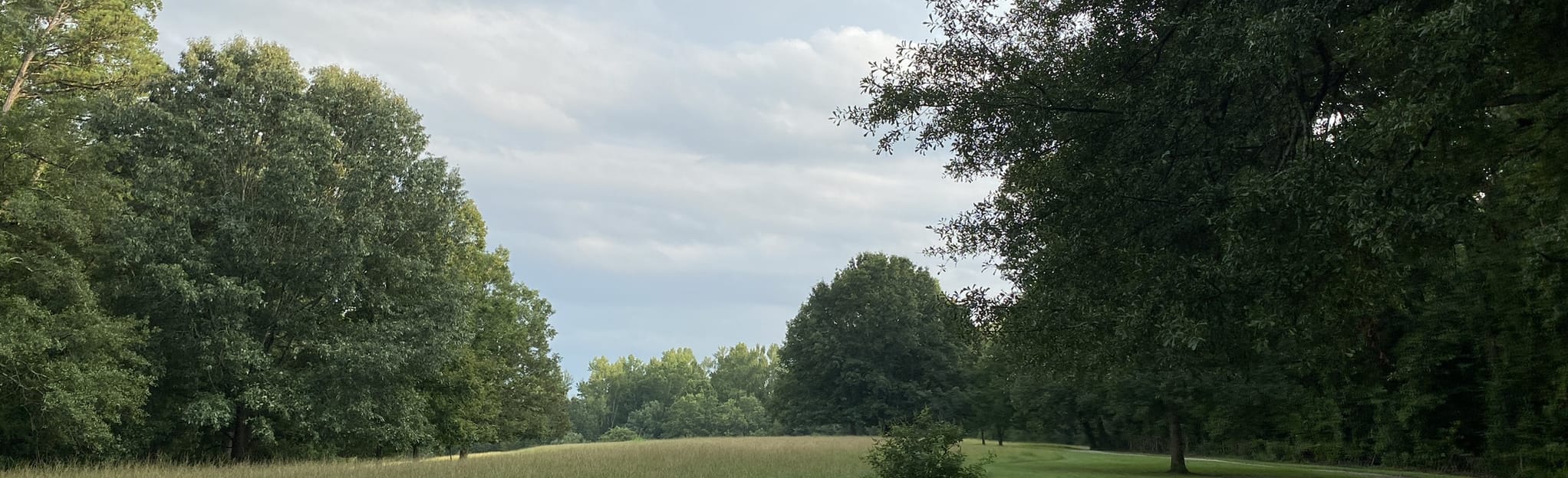 Kiesel Park Inner Loop: 38 Reviews, Map - Alabama | AllTrails