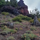 Cone Peak Trail, Oregon - 612 Reviews, Map | AllTrails
