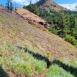 Cone Peak Trail, Oregon - 612 Reviews, Map | AllTrails