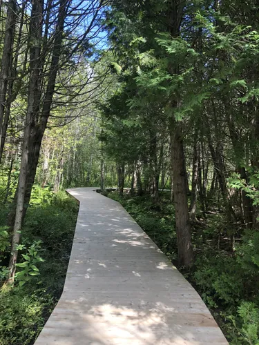 10 Best Trails and Hikes in Magog | AllTrails