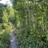 Grandjean Sawtooth Lake Loop, Idaho - 130 Reviews, Map | AllTrails