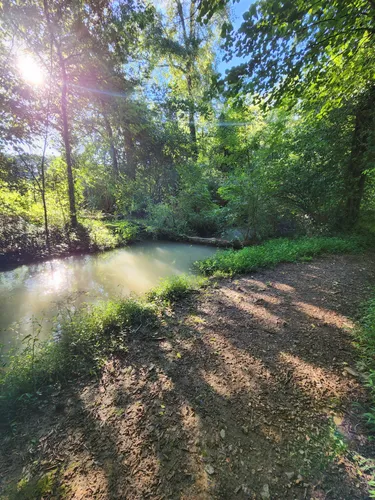 Best Hikes and Trails in Jarvis Park | AllTrails