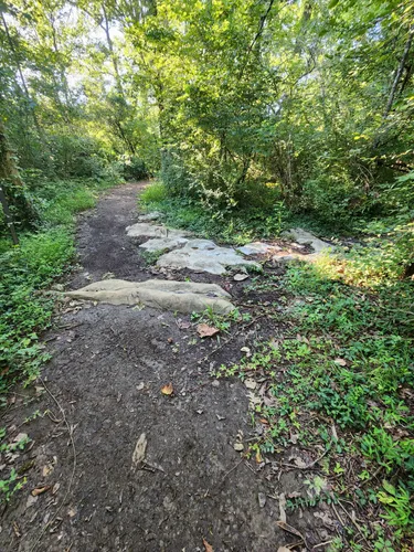 Best Hikes and Trails in Jarvis Park | AllTrails