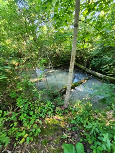 Best Hikes and Trails in Jarvis Park | AllTrails