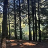 Spectrum Lake Trail, British Columbia, Canada - 197 Reviews, Map ...