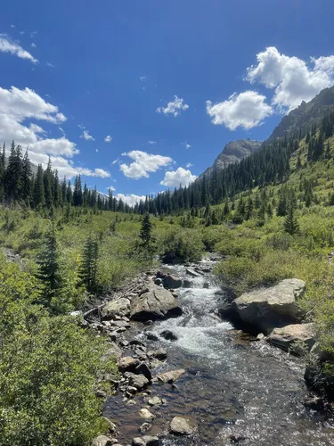 Best Camping Trails in Meredith | AllTrails