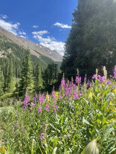 Best Camping Trails in Meredith | AllTrails