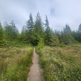 Cape Alava Trail, Washington - 521 Reviews, Map | AllTrails