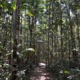 Cooloola Great Walk: Segment 1, Queensland, Australia - 156 Reviews ...