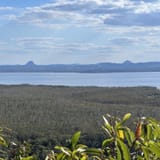 Cooloola Great Walk: Segment 1, Queensland, Australia - 156 Reviews ...