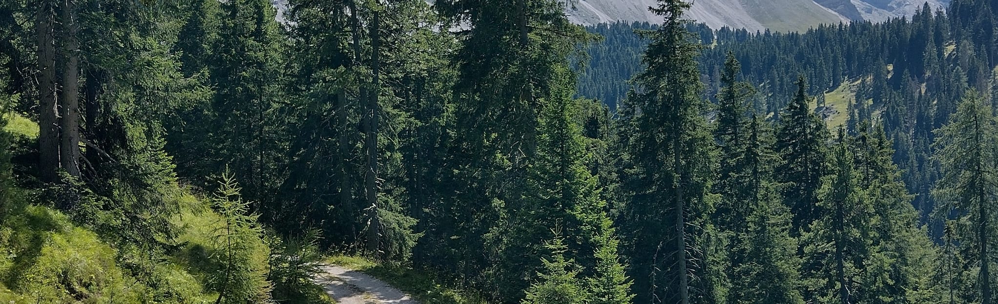 Sentiero dei Signori: Alpe di Zannes - Kofelwiese: 5 Reviews, Map ...