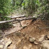 Magens Bay Beach Trail, Saint Thomas, US Virgin Islands - 349 Reviews ...