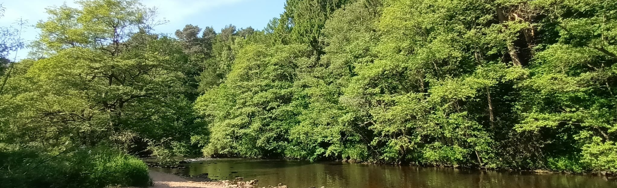 Knaresborough, Nidd Gorge, and Old Bilton Circular, North Yorkshire ...