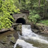 Five Mile Trail, New York - 1,214 Reviews, Map | AllTrails