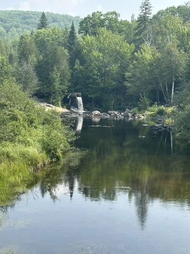 Best Hikes and Trails in Thomas P. Murray Recreation Area | AllTrails